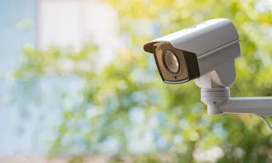 What are some effective methods to secure my garden against burglars ...