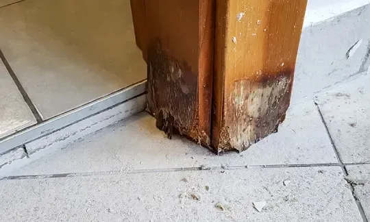 How do you fix a rotted door? | Sure Lock & Key